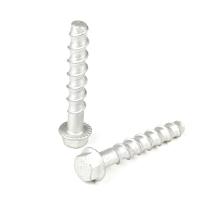 China M12 90mm Stainless Steel Hex Flange Masonry Screw for Concrete Anchors Payment term T/T for sale