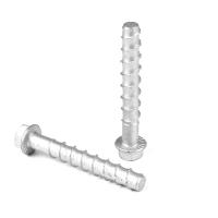 China Customized Support Hexagonal Cement Screws Concrete Anchor Bolt M10 100mm Screw Masonri Bolt for sale