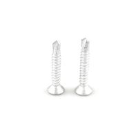 China Ruspert Coated Flat Head Phillips Cross Recess Tek Screws for Steel Construction for sale