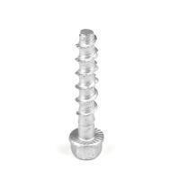 China Stainless Steel Self Tapping Hexagonal Head Concrete Anchor Screw for Secure Fastening for sale