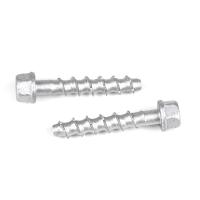 China Stainless Steel Self Tapping Hexagonal Head Concrete Anchor Screw for Secure Fastening for sale