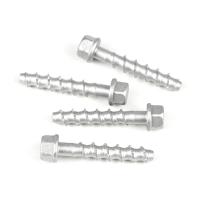 China Stainless Steel Self Tapping Hexagonal Head Concrete Anchor Screw for Secure Fastening for sale