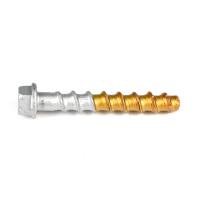 China Oem Bi Metal Self Tapping Hex Washer Concrete Bolt 4 Inch for Metope Fastening Support for sale
