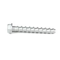 China Customizable SS304 Hex Head Stainless Steel Concrete Bolt Anchor M10 for Installation for sale