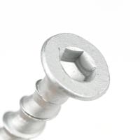 China SS304 Flat Head Concrete Bolt Anchor M6 M8 M10 M12 Concrete Anchor Series for sale