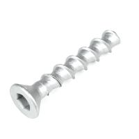 China SS304 Flat Head Concrete Bolt Anchor M6 M8 M10 M12 Concrete Anchor Series for sale