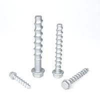 China Flat Head Stainless Steel Concrete Bolt Anchor M6 M8 M10 M12 for Customized Support for sale