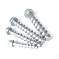 China Flat Head Stainless Steel Concrete Bolt Anchor M6 M8 M10 M12 for Customized Support for sale
