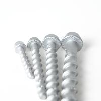China Flat Head Stainless Steel Concrete Bolt Anchor M6 M8 M10 M12 for Customized Support for sale
