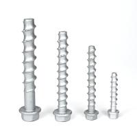 China Flat Head Stainless Steel Concrete Bolt Anchor M6 M8 M10 M12 for Customized Support for sale