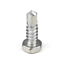 China Torx Stainless Steel Indented Hex Head Self Drilling Screw Sus410 Parafuso Auto Brocante for sale