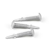China Standard Custom Screw Stainless Steel Phillips Truss Head Self Drilling Screw Tapping Screw for sale
