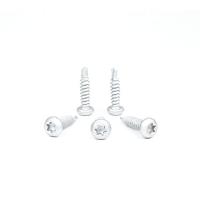 China Pan Head Torx Drive Self Drilling Tapping Screw for Metal in 304 Stainless Steel for sale