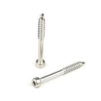 China Stainless Steel Cup Fillister Head Torx Self Tapping Screw for Various Applications for sale