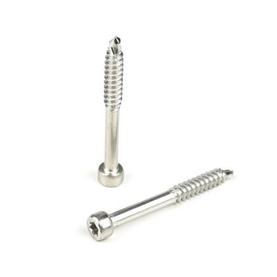 China Stainless Steel Cup Fillister Head Torx Self Tapping Screw for Various Applications for sale
