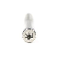 China Stainless Steel Cup Fillister Head Torx Self Tapping Screw for Various Applications for sale