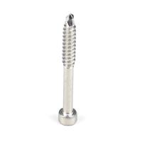 China Stainless Steel Cup Fillister Head Torx Self Tapping Screw for Various Applications for sale