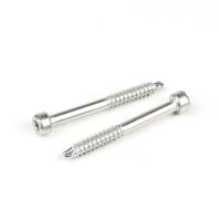 China Stainless Steel Cup Fillister Head Torx Self Tapping Screw for Various Applications for sale