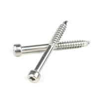China Stainless Steel Cup Fillister Head Torx Self Tapping Screw for Various Applications for sale