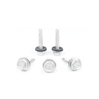 China Stainless Steel Self Drilling Tapping Screw for Steel Structure Payment Term T/T for sale