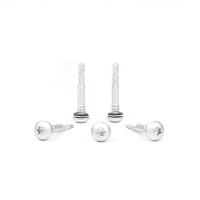 China High Corrosion Resistance Roof Screws for INCH Measurement System Metal Tile Roofing for sale