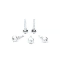 China Double Threaded Torx Button Stainless Steel Self Drilling Metal Screw With EPDM Washer for sale