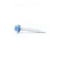 China Torx Drive Color Painted Flange Hex Head Self Drilling Tek Screw for sale