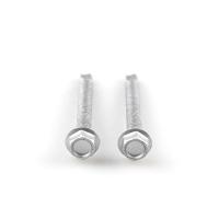 China Ruspert Finish Stainless Steel Hex Head Self Drilling Screws for Electrical Appliances for sale