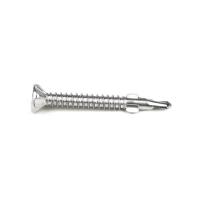 China SUS410 Flat Phillips Head Self Tapping Self Drilling Screw Wing Tek Screw with Nibs 4.2x38 for sale