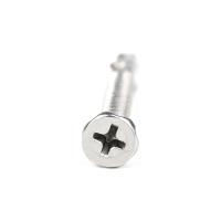 China SUS410 Flat Phillips Head Self Tapping Self Drilling Screw Wing Tek Screw with Nibs 4.2x38 for sale