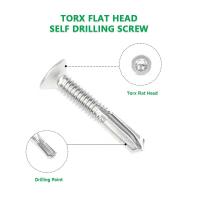 China Standard Black Csk Flat Head Torx Self Drilling Screw Stainless Steel Tornillos for sale