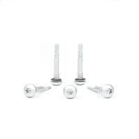 China Metal Self Drilling Screw With Pan Head Torx Drive In SUS410 Stainless Steel for sale