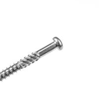 China Truss Head Style 316 Stainless Steel Torx Pan Head Self Tapping Screws for Customization for sale