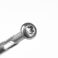 China Torx Pan Head A4 Stainless Steel 316 Self Tapping Screws 5.5x50mm with Ruspert Finish for sale
