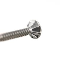 China Stainless Steel Flat Head Self Drilling Screw With Wing 4.5x37mm with Ruspert Finish for sale
