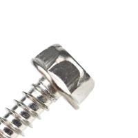 China Drive Type Torx Hex Socket Truss Head Self Drilling Screws for Timber Installation for sale