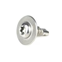 China Stainless Steel Torx Round Head Self Drilling Screw Tornillos Acero Inoxidable Material for sale