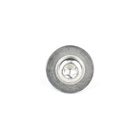 China Stainless Steel Torx Round Head Self Drilling Screw Tornillos Acero Inoxidable Material for sale