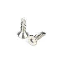 China Visible Torx Drive Self Drilling Screw for Fiber Cement Board and Door 100% QC Tested for sale