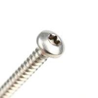 China Ss304 Torx Pan Head Stainless Steel Self Drilling Screw Parafusos Auto Brocante for sale