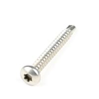 China Stainless Steel Torx Pan Head Ss304 Self Tapping Dovetail Screw for and Durable Finish for sale