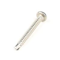 China Stainless Steel Torx Pan Head Ss304 Self Tapping Dovetail Screw for and Durable Finish for sale