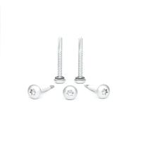 China Ruspert Button Torx 12x45 Self Tapping Screw for Roofing to Purlin Framing Stainless Steel for sale