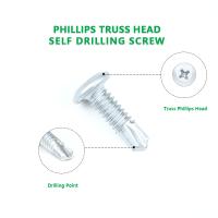 China 10x16 Stainless Steel Self Drilling Wafer Head Screws for Steel Frame 100% QC Tested for sale