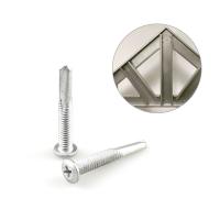 China Zinc Alloy Coated Phillips Drive Self Drilling Screw for Light Gauge Steel Building for sale
