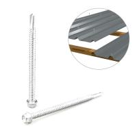 China Self Drilling Screw Ss 304 Parafuso Auto Brocante Self Tapping Screw Payment Term T/T for sale