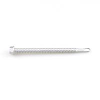 China Self Drilling Screw Ss 304 Parafuso Auto Brocante Self Tapping Screw Payment Term T/T for sale