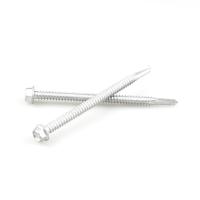 China Self Drilling Screw Ss 304 Parafuso Auto Brocante Self Tapping Screw Payment Term T/T for sale