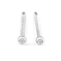 China Self Drilling Screw Ss 304 Parafuso Auto Brocante Self Tapping Screw Payment Term T/T for sale