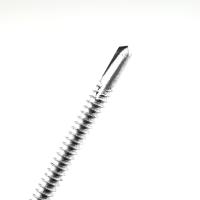 China Self Drilling Screw Ss 304 Parafuso Auto Brocante Self Tapping Screw Payment Term T/T for sale